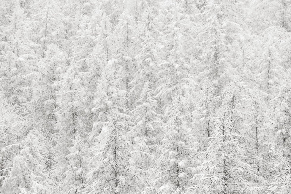 Francois Roux Photography - New York City, Paris, Alps and Provence